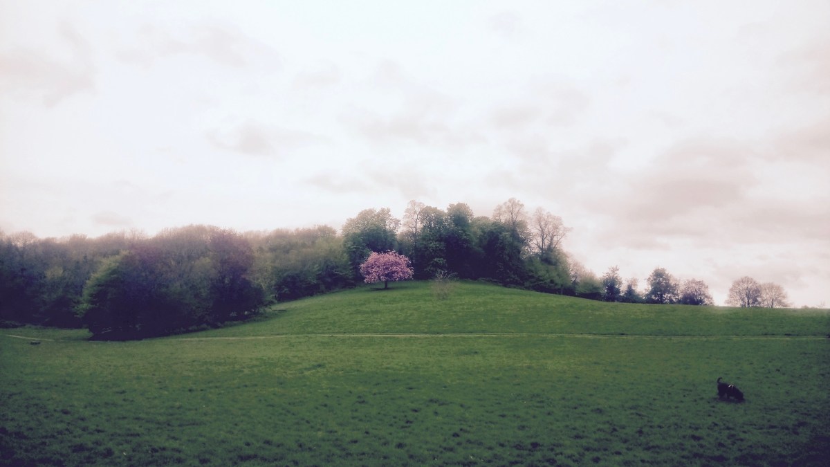 Year of the Tree – Psychodography